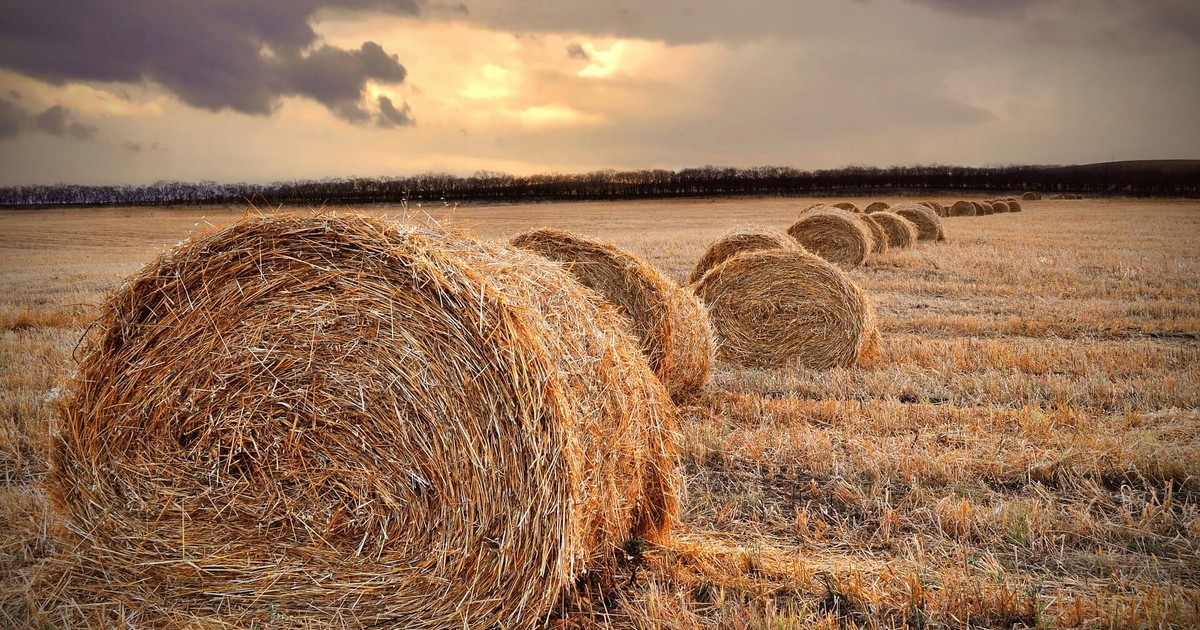 Zemljište na prodaju | Srbija-nekretnine